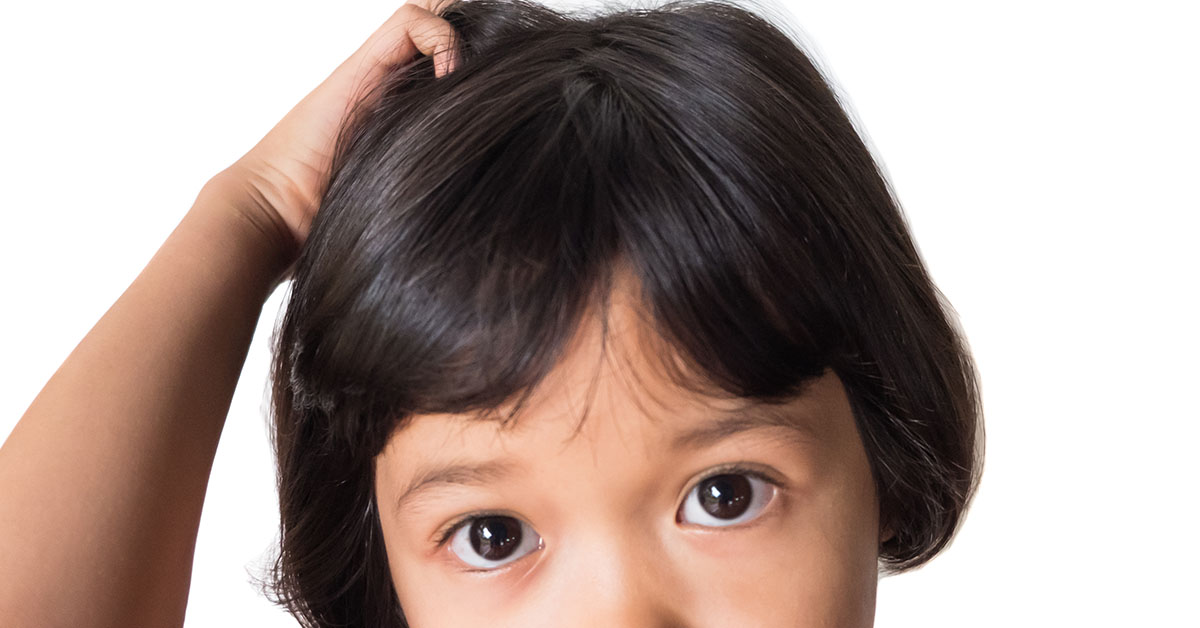 Kopfläuse | Erkennen iund behandeln | Dr Leenarts Dermatologin